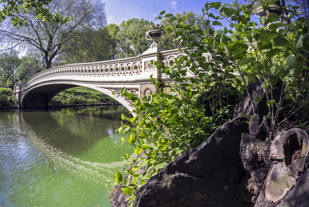 What To Do in Central Park: A Walking Tour