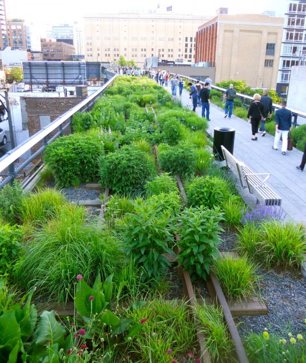 The High Line: New York's Park in the Sky - Walks of New YorkWalks of ...