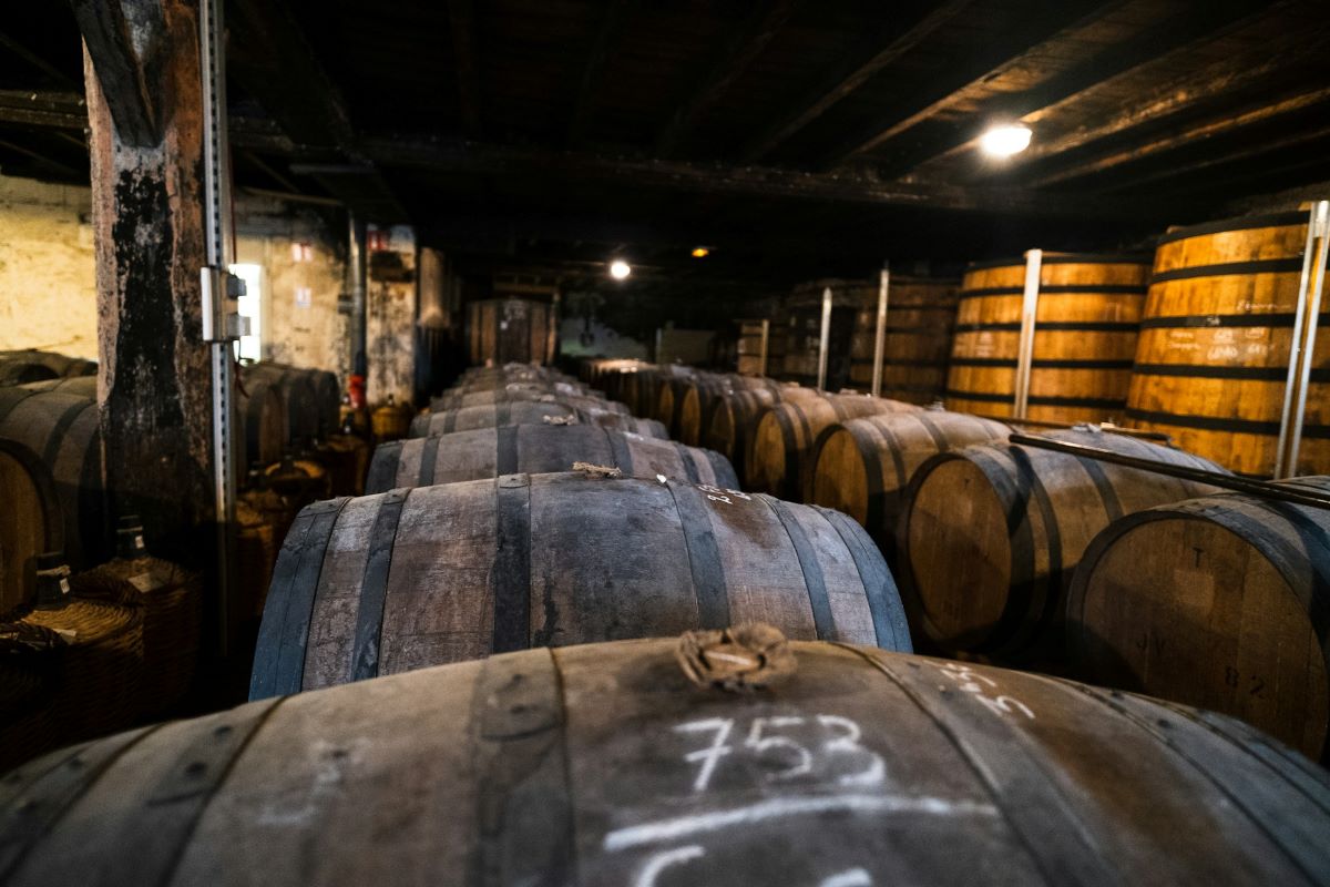 Sherry Tasting in Jerez: The Ultimate Guide to Spain’s Iconic Wine